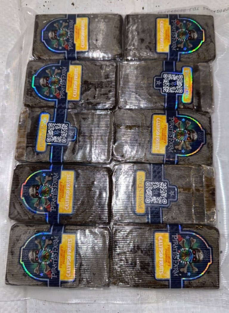 Static Room Hash - Cali Plates